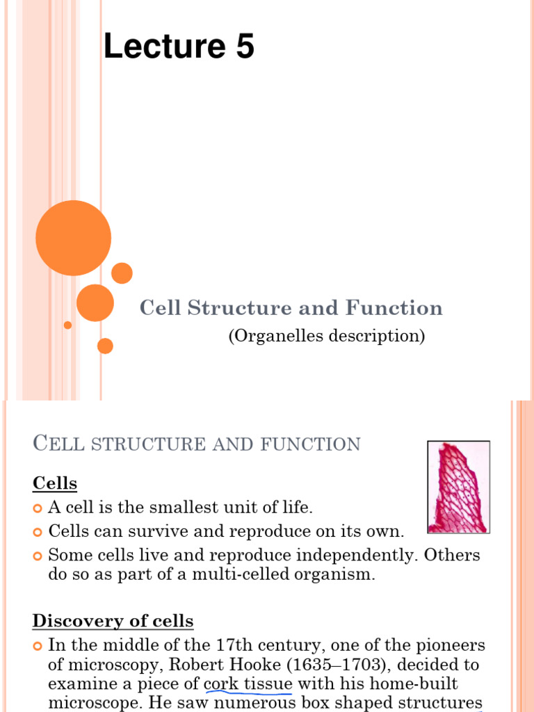 Bio 103 L5 NIA | PDF | Endoplasmic Reticulum | Cell (Biology)