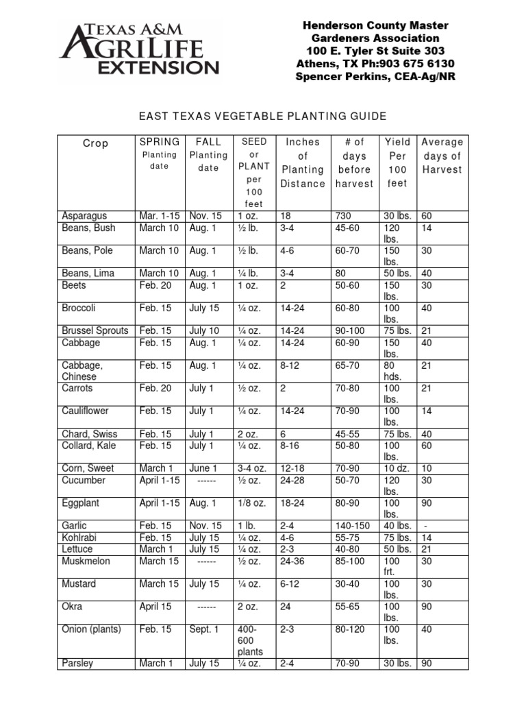 East TX Veg Planting Guide 20 | PDF | Green Bean | Chili Pepper
