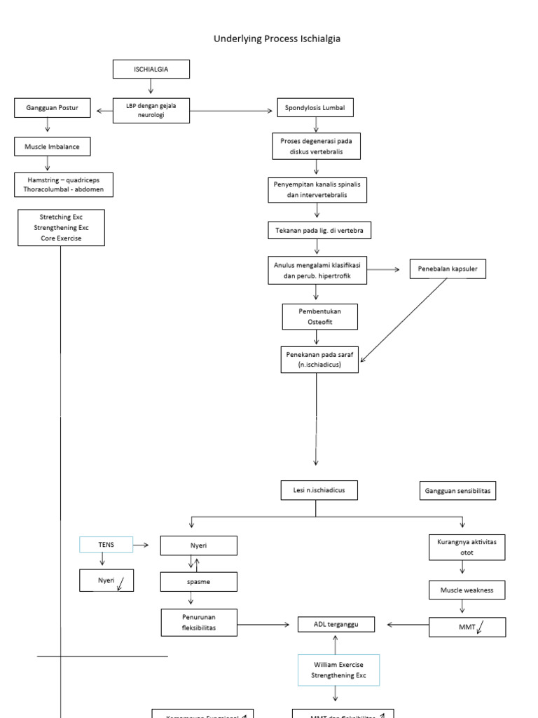 Underlying Proses Fisioterapi Ischialgia | PDF