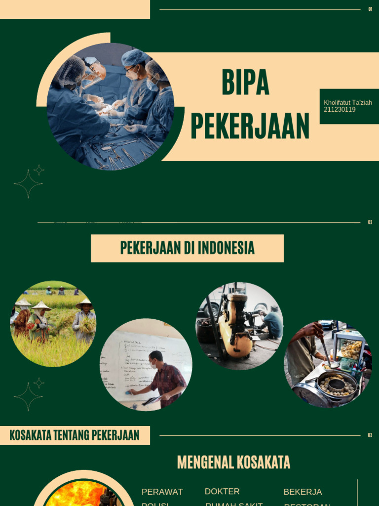 Media Pembelajaran Bipa | PDF
