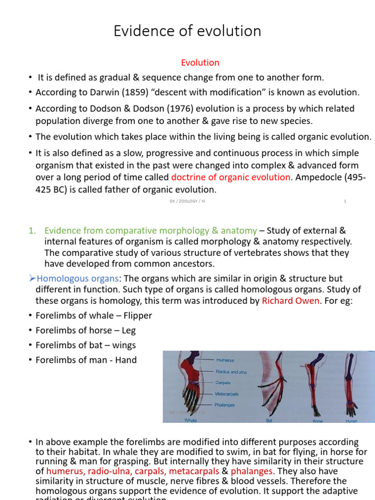 Evidence of Evolution | PDF | Fossil | Homology (Biology)
