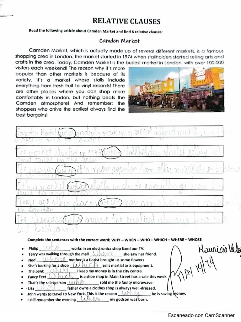 Grammar - Relative Clauses | PDF