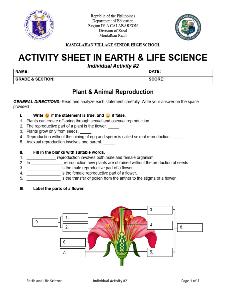 ELS Activity Sheet Plant and Animal Reproduction | PDF | Reproduction ...