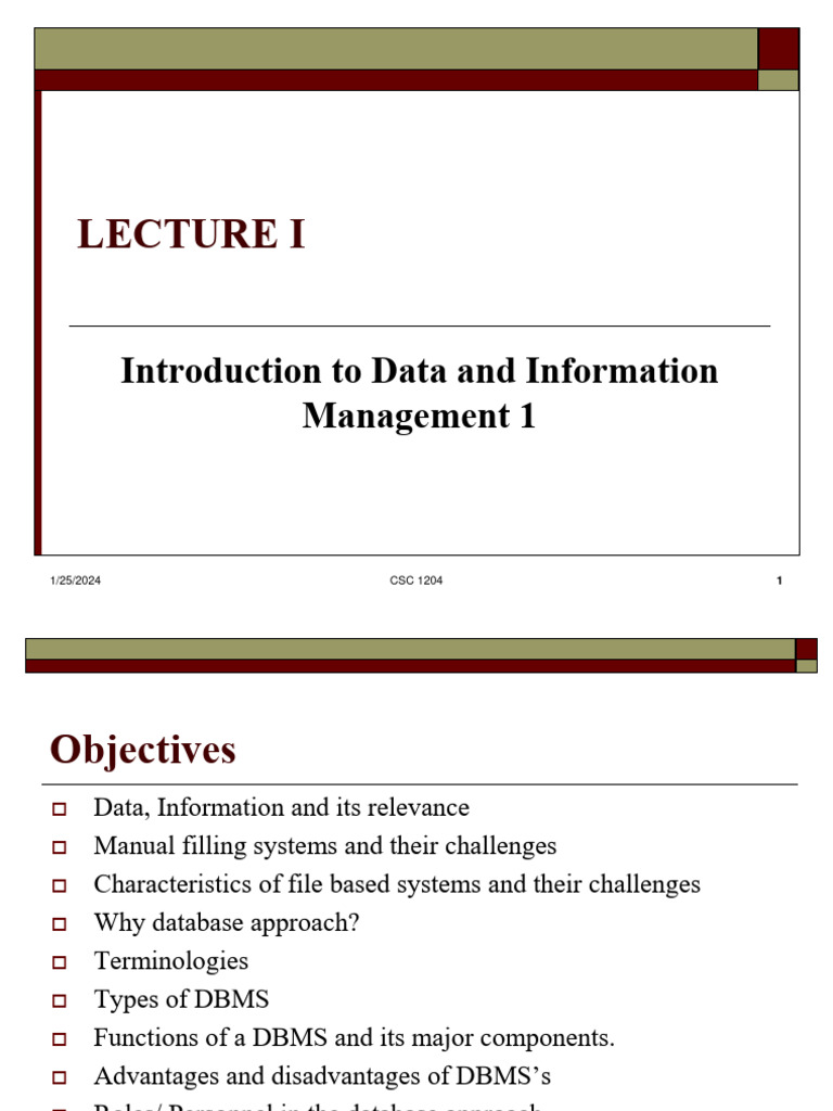 Dim 1 Notes | PDF | Databases | Relational Model
