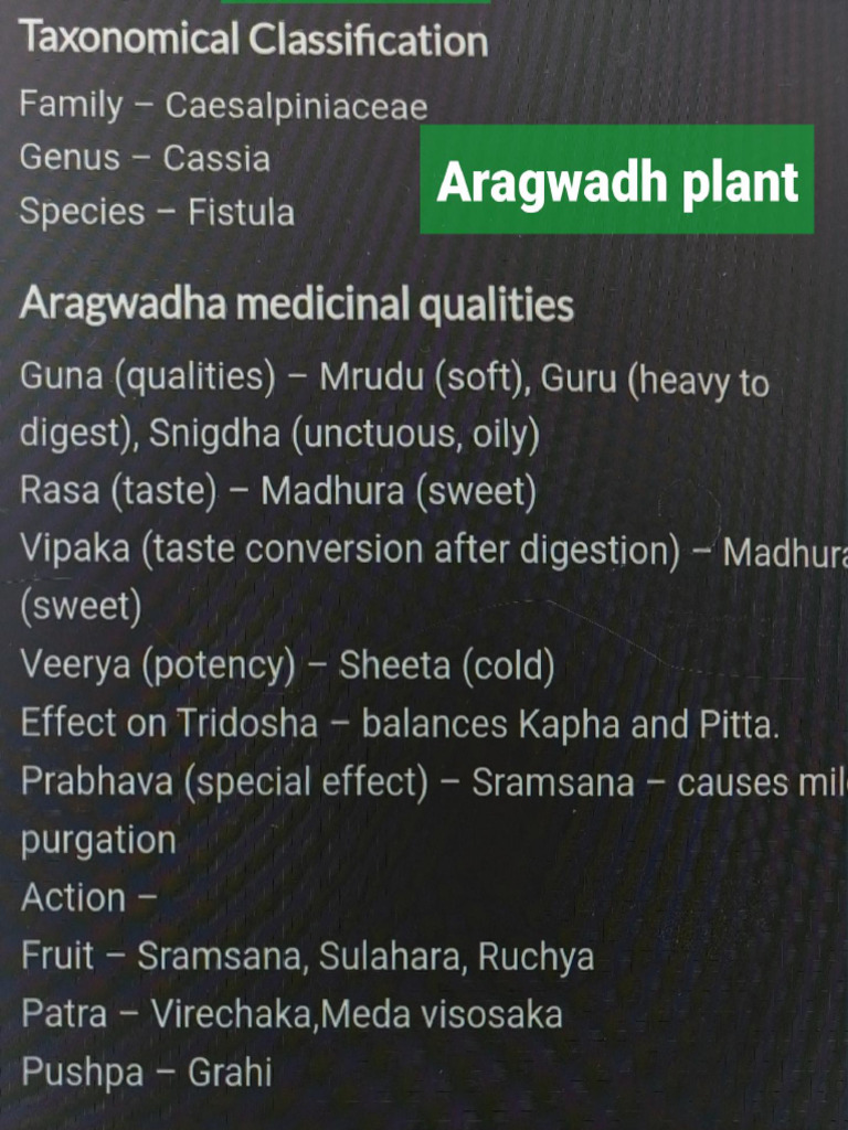 Medicinal Uses of Aragwadha Plant | PDF | Ayurveda | Fruit