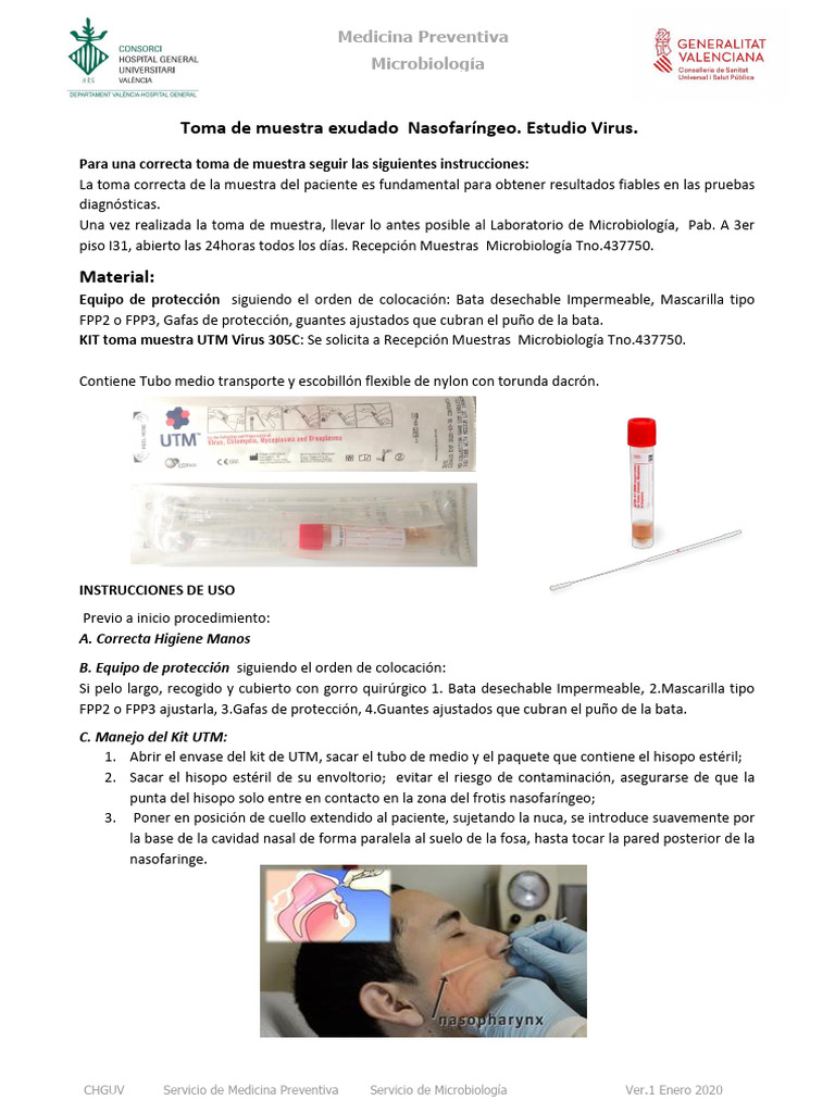 Instrucciones para Toma de Muestra Nasofaríngea | PDF | Relaciones ...