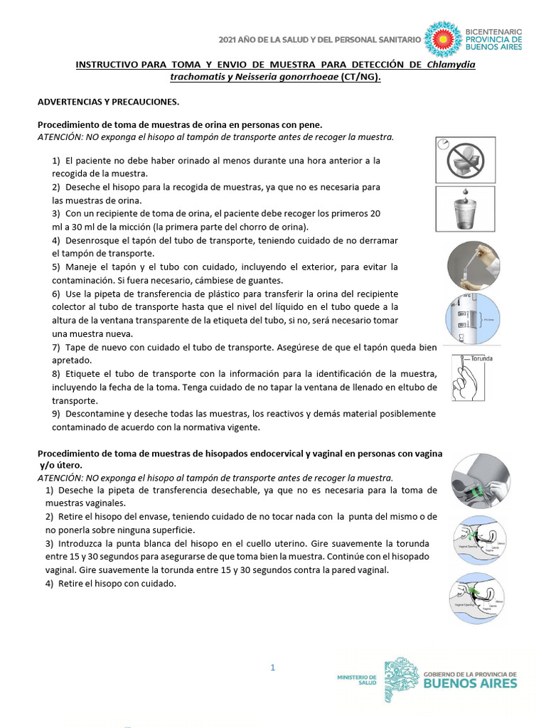 Instructivo para CTNG | PDF