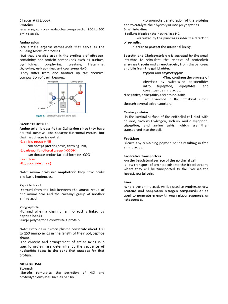 Chapter 6 CC1 Book | PDF | Biosynthesis | Amino Acid