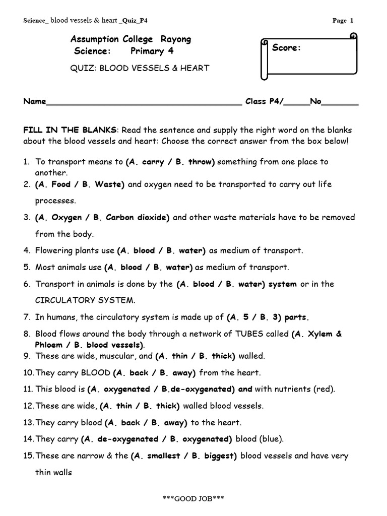 Quiz Bloodvessels Heart | PDF | Heart | Blood