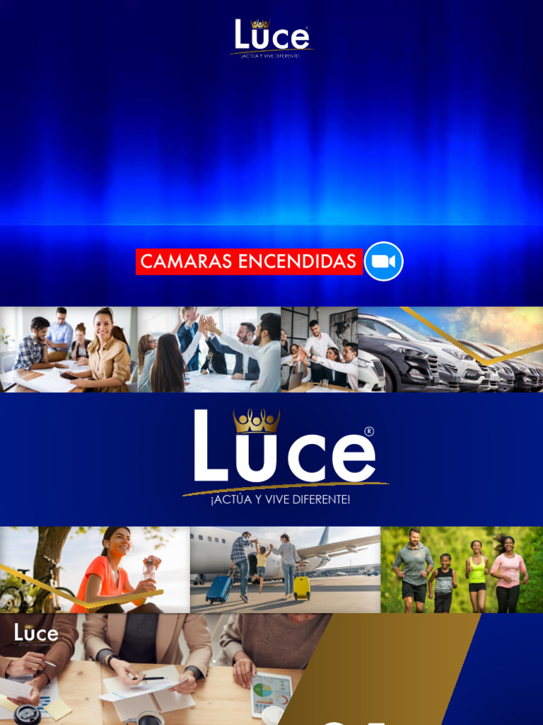 Luce | PDF | Iniciativa empresarial | Business