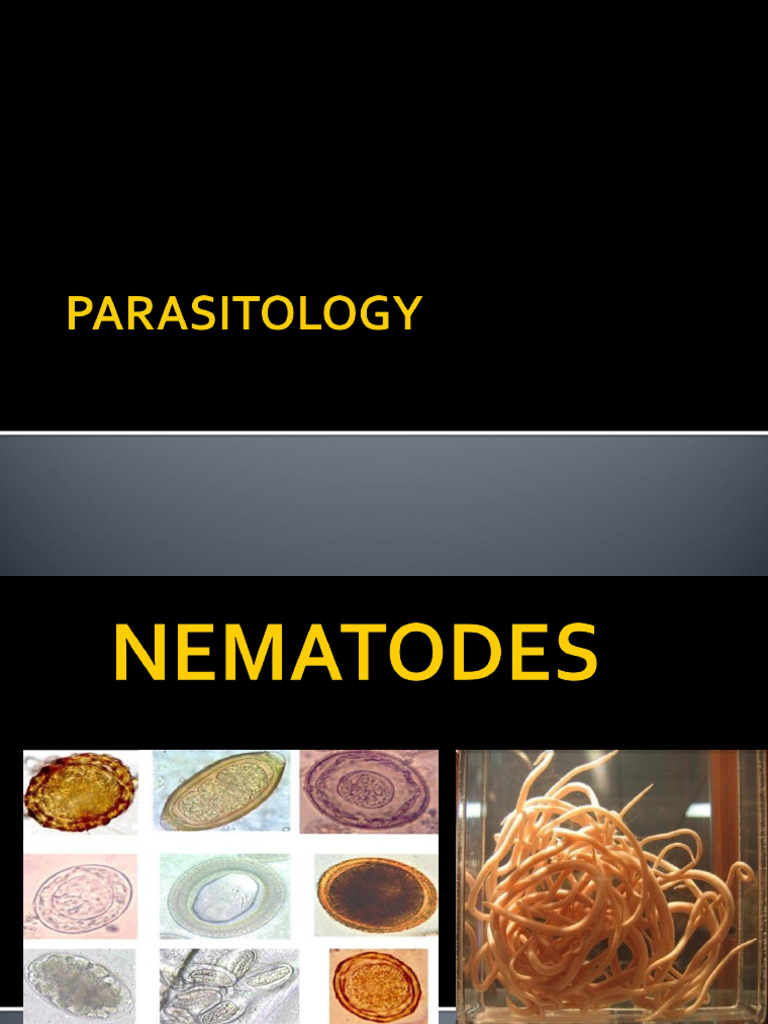 Helminth Identification Guide | PDF | Medical Specialties | Parasitology