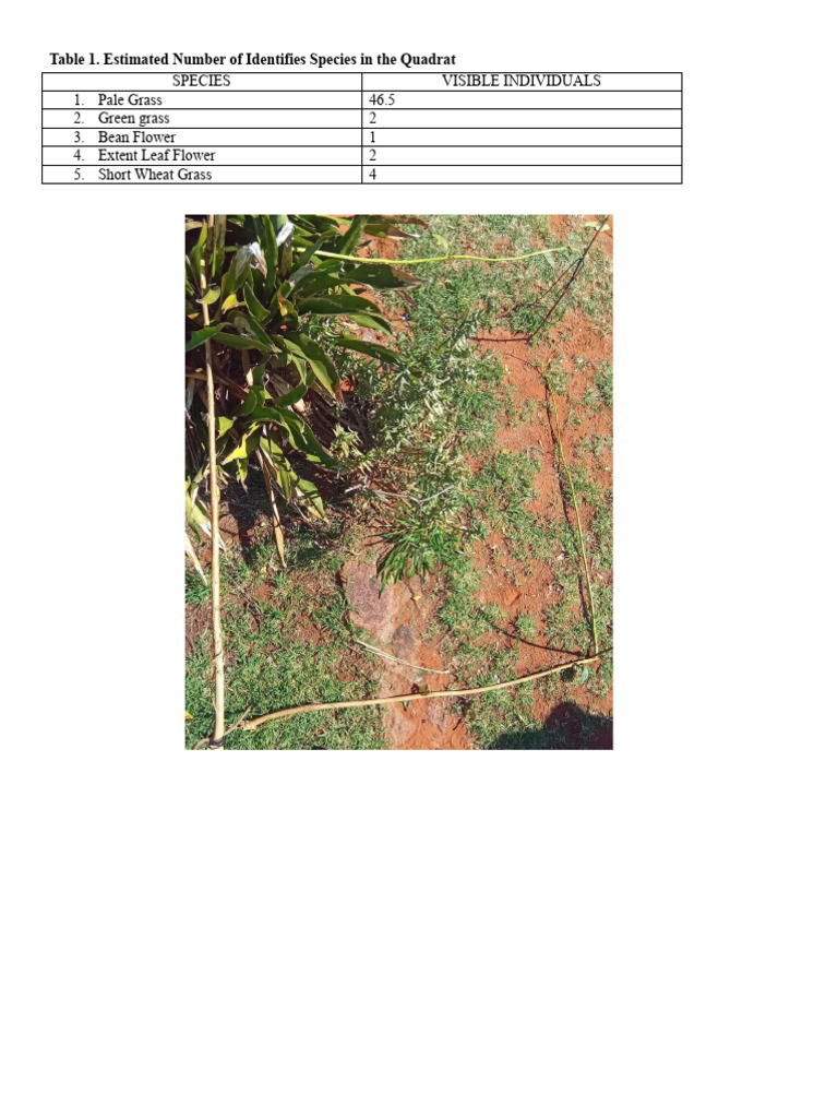 QUAD DRAWING (For Counting) | PDF