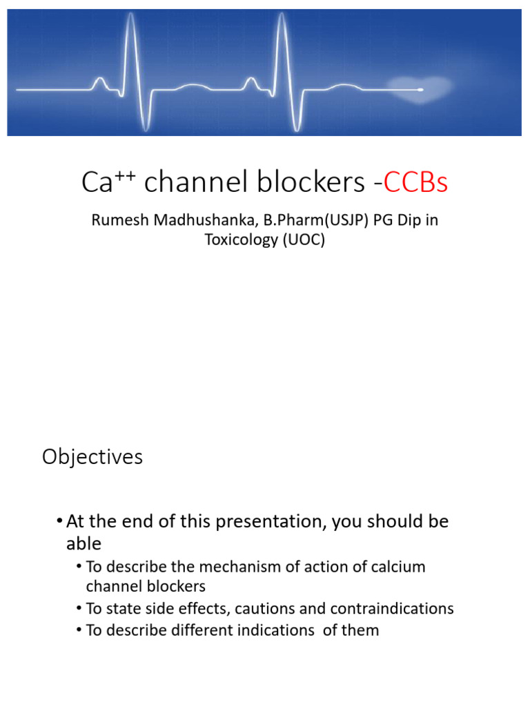 Ca++ Channel Blockers | PDF | Muscle Contraction | Cardiology