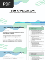 Guideline To Fill Professional Experience Section For Bem Outcome | PDF