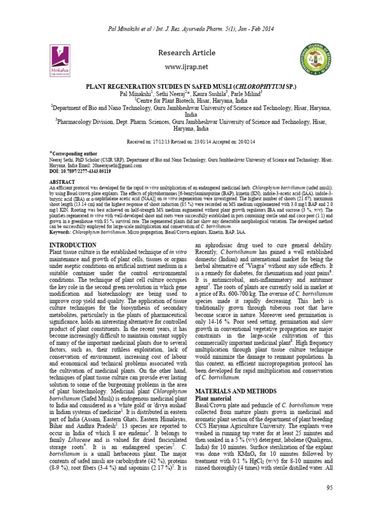Safed Musli Research Paper | PDF | Root | Plant Hormone