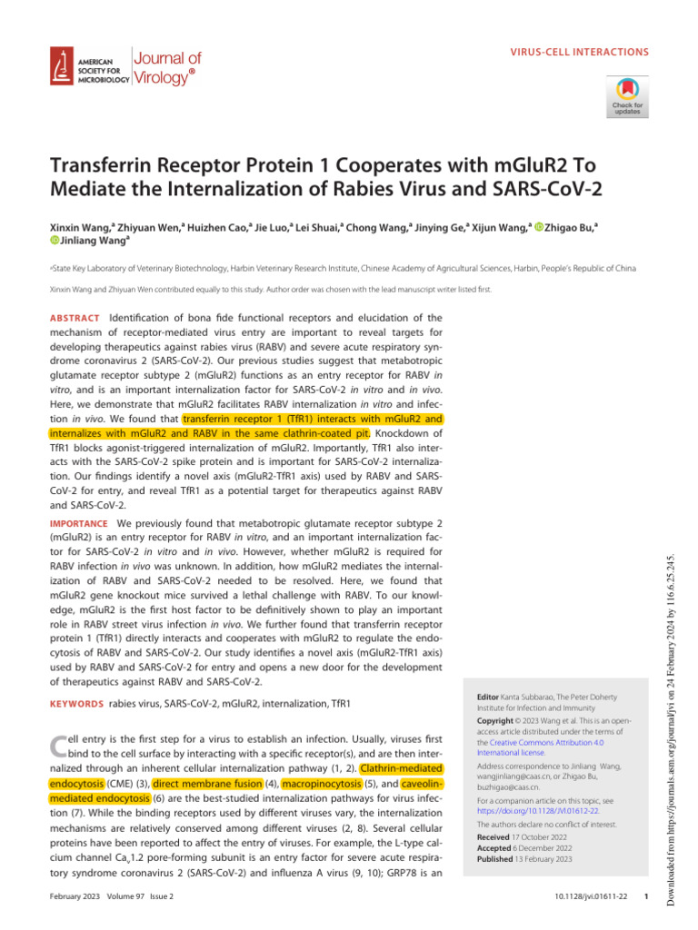 wang-et-al-2023-transferrin-receptor-protein-1-cooperates-with-mglur2 ...