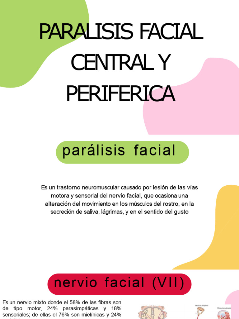 Parálisis Facial: Central y Periférica | PDF | Nervio | Cabeza y cuello ...