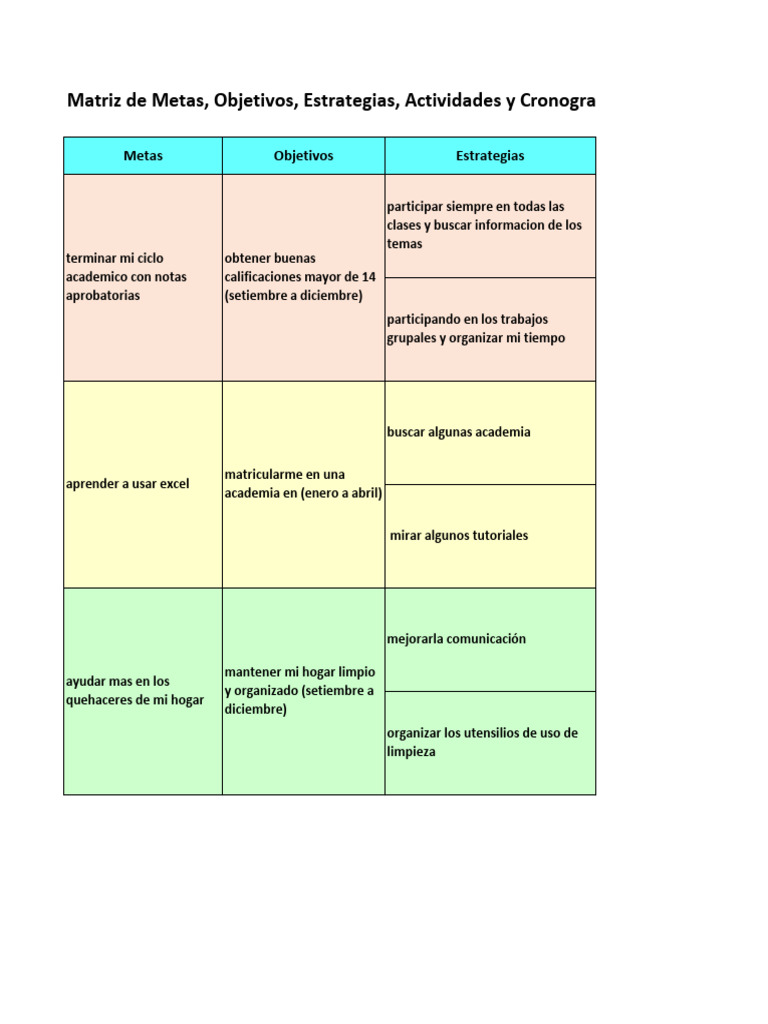 MATRIZ DE METAS OBJETIVOS ESTRATEGIAS ACTIVIDADES Y CRONOGRAMA | PDF ...