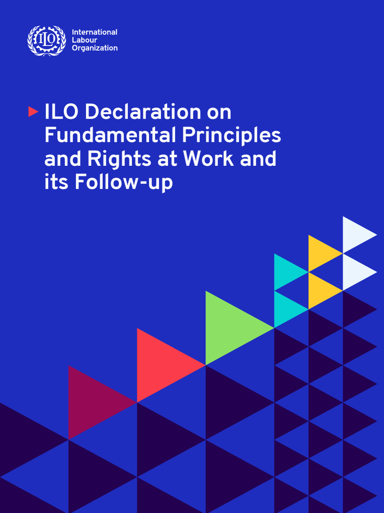 ILO Declaration On Fundamental Principles | PDF | International Labour ...