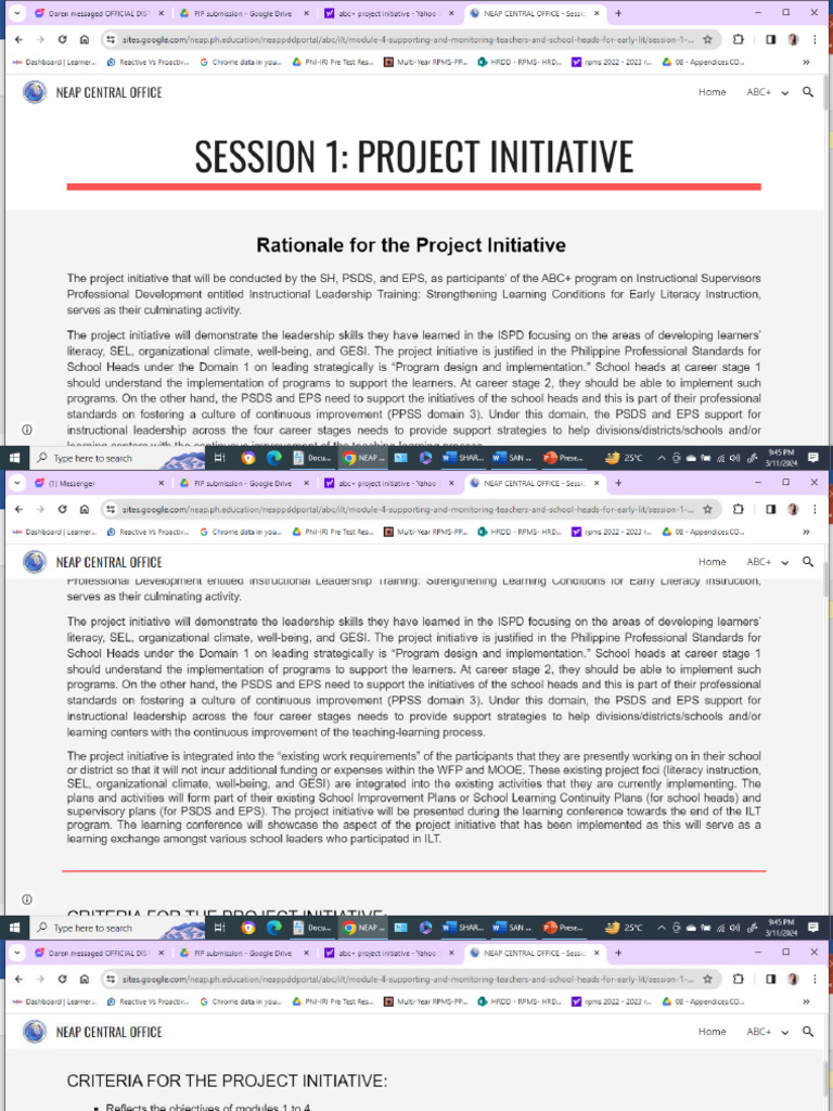 PIP Presentation | PDF