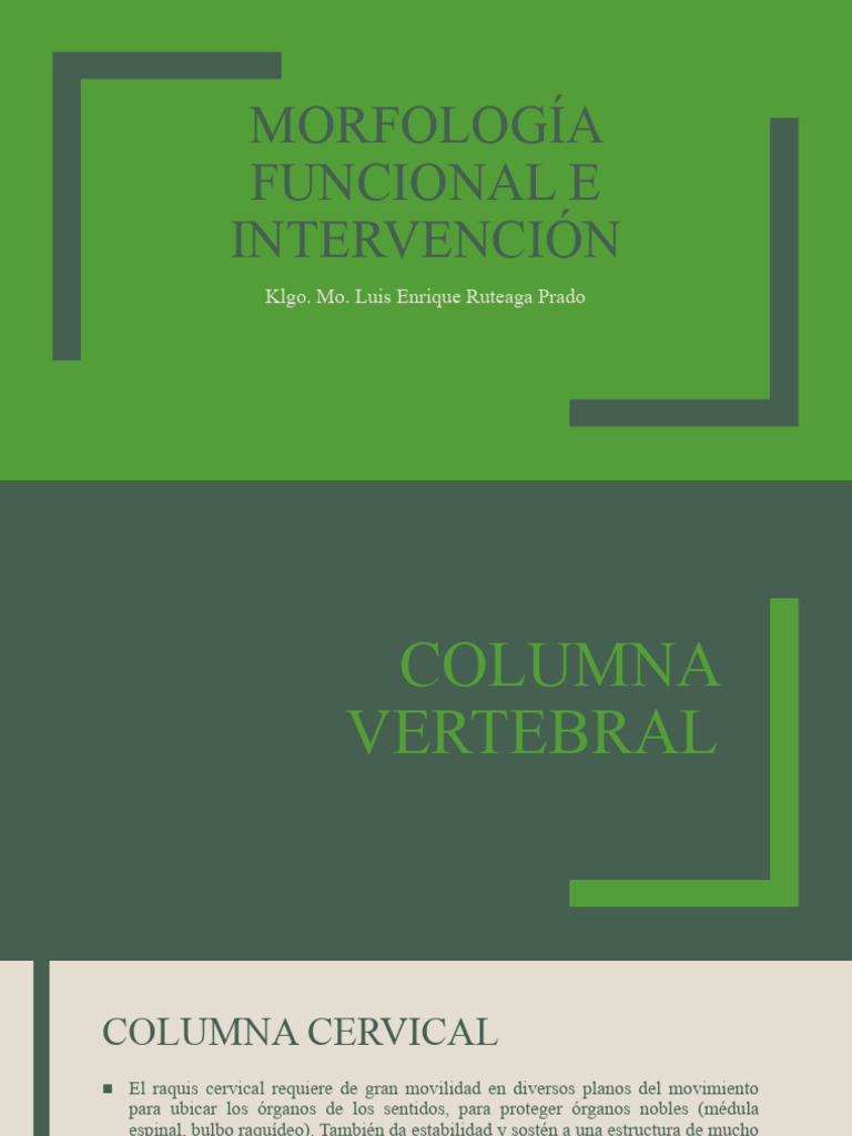 Morfología de Carillas y Apófisis Cervicales | PDF | La columna ...