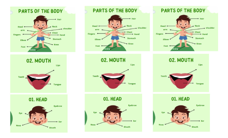 Part of The Body Notes | PDF