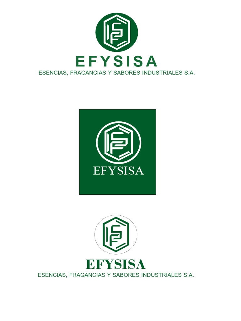 Efysisa Logos Editables | PDF