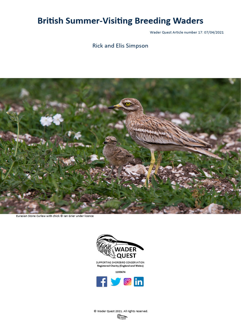 British-Summer-Visiting-Breeding-Waders | PDF | Bird Migration | Birds