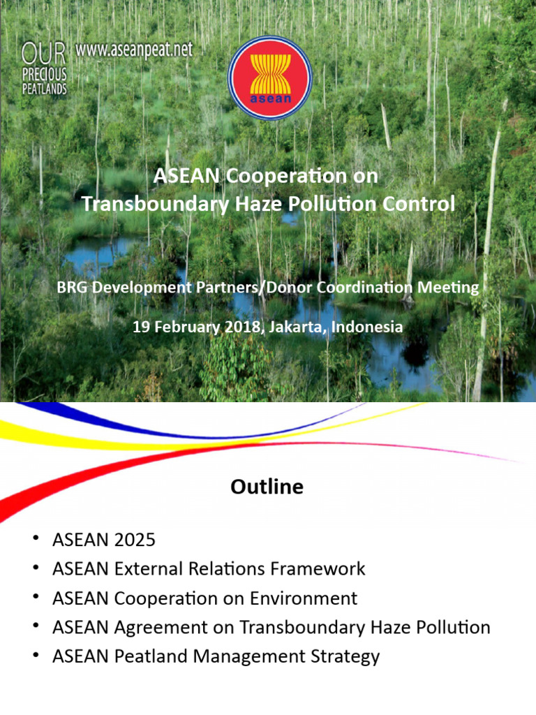 ASEAN Haze Pollution Strategy | PDF | Sustainability | Environment