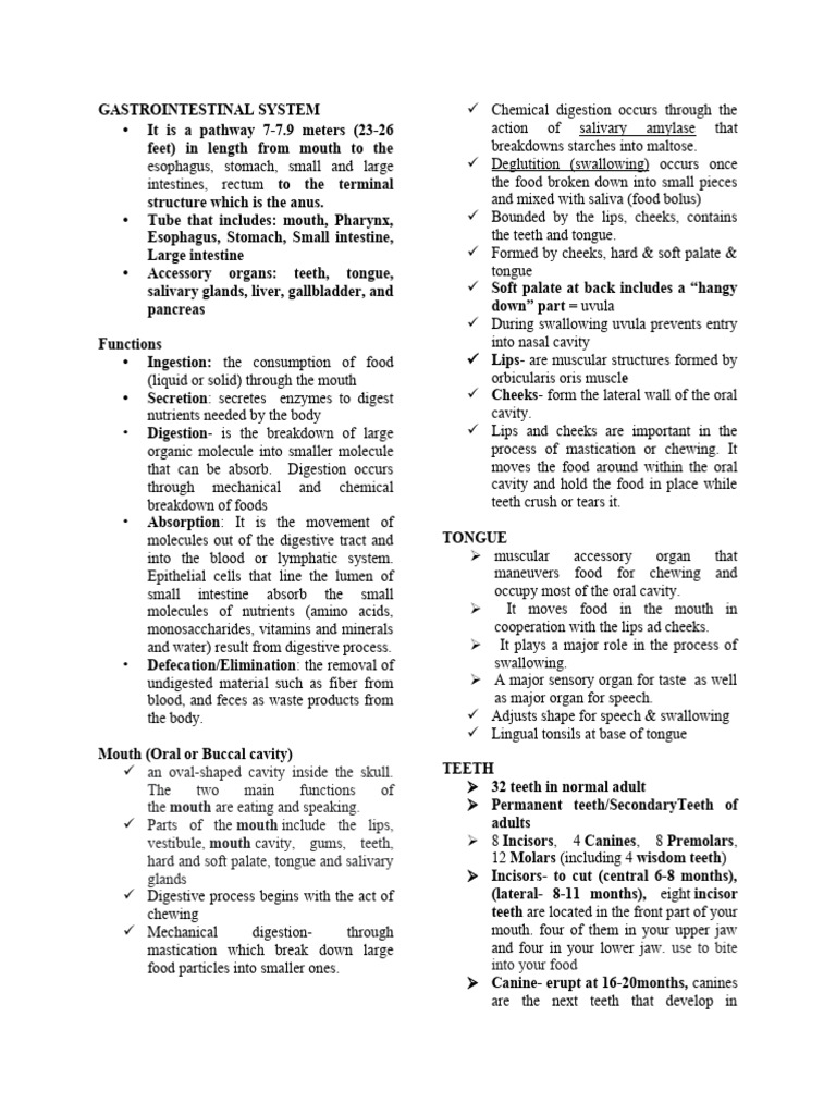 Gastrointestinal System Part 1 Pdf Stomach Digestion