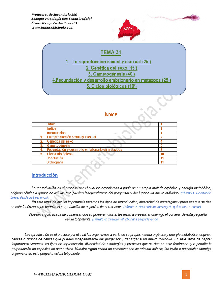 Tema 31 Lomloe 2023 2024 Rep - Signed | PDF | Sexo | Masculino