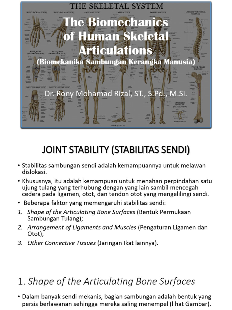 Pertemuan Ke 9 The Biomechanics of Human Skeletal Articulation (Part 2 ...