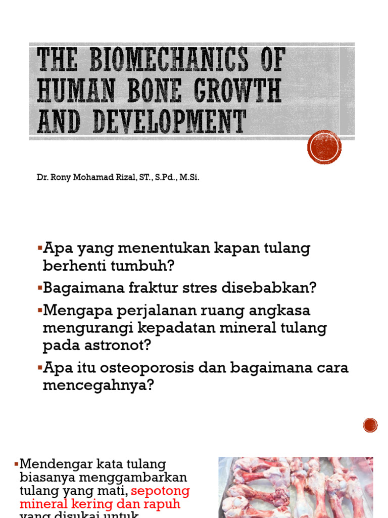 Pertemuan Ke 8 The Biomechanics of Human Bone Growth and Development | PDF