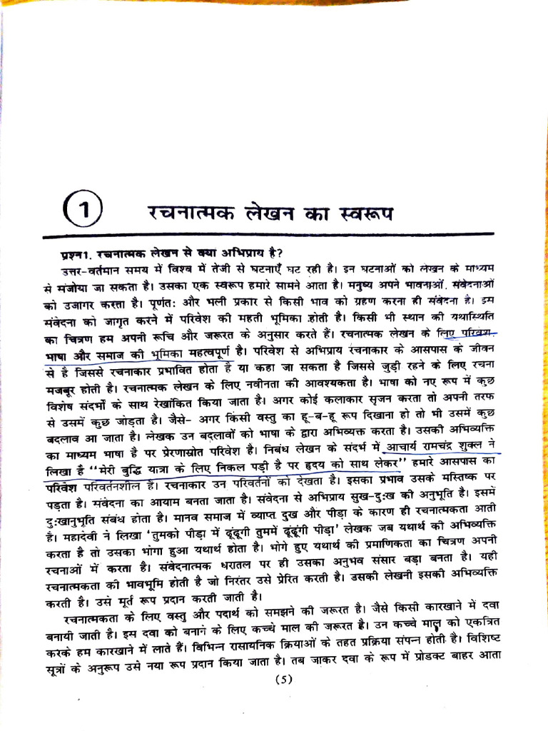 Rachanatmak Lekhan - Hindi B | PDF