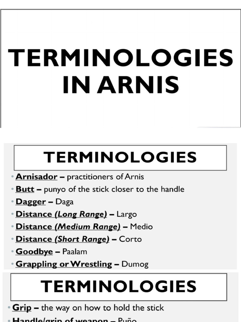ARNIS | PDF