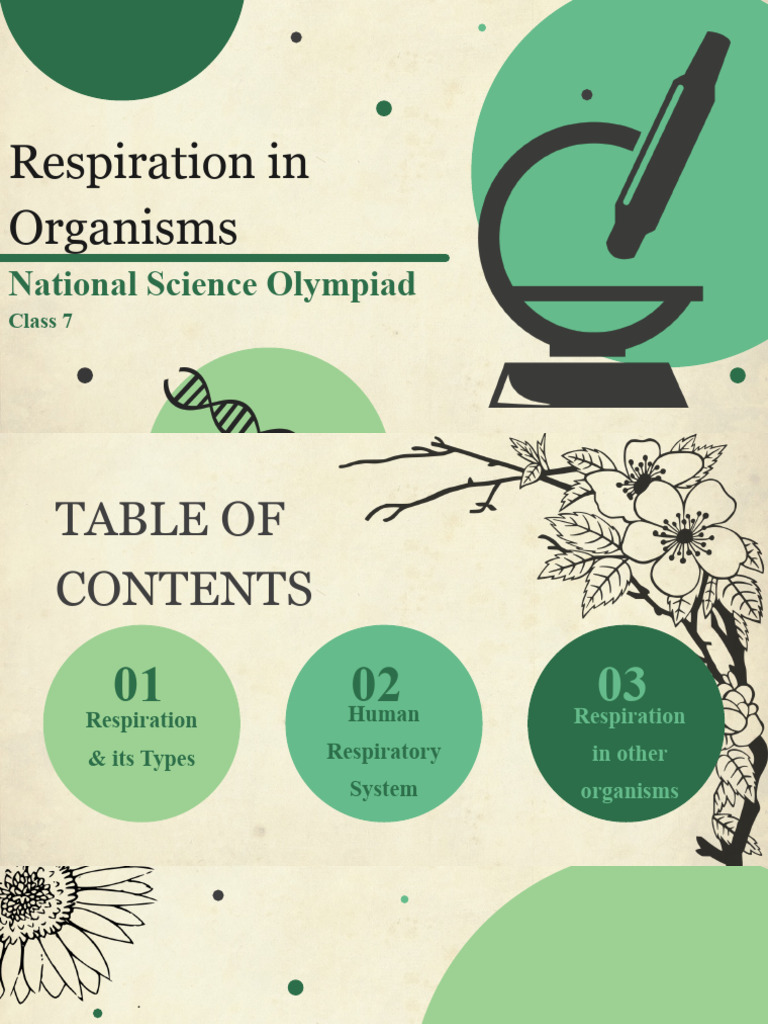 Respiration in Organisms | PDF | Respiratory System | Lung