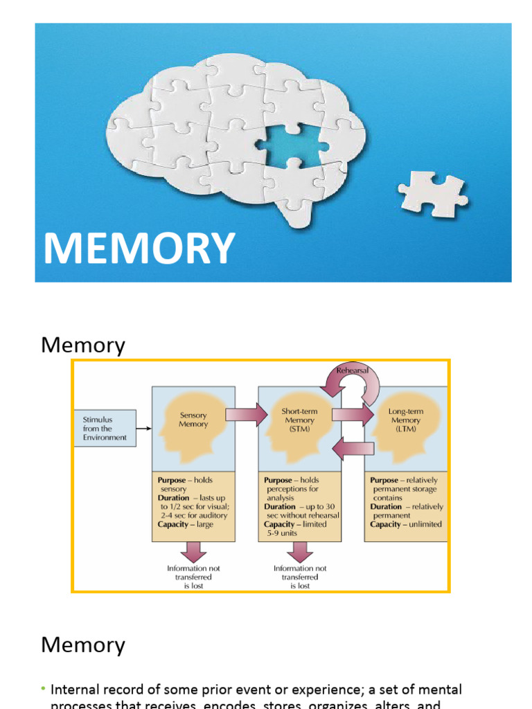 Lec 4- Memory | PDF | Memory | Long Term Memory