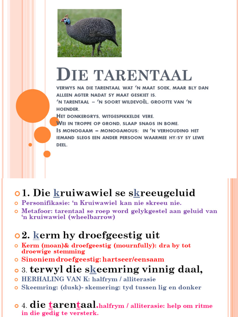 Die Tarentaal | PDF