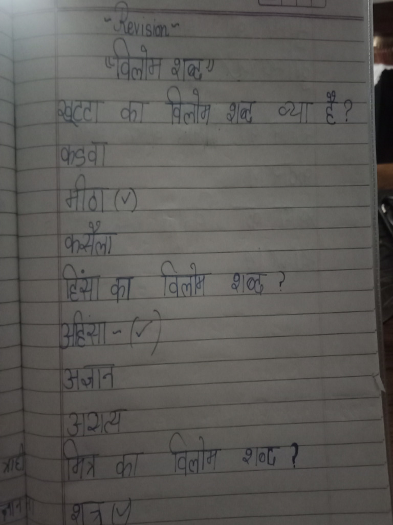 Hindi Work 1 | PDF