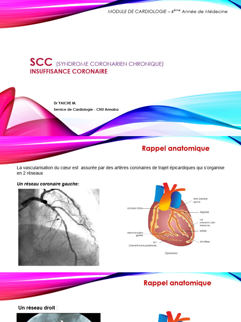 Comprendre le Syndrome Coronarien Chronique | PDF | Infarctus du ...