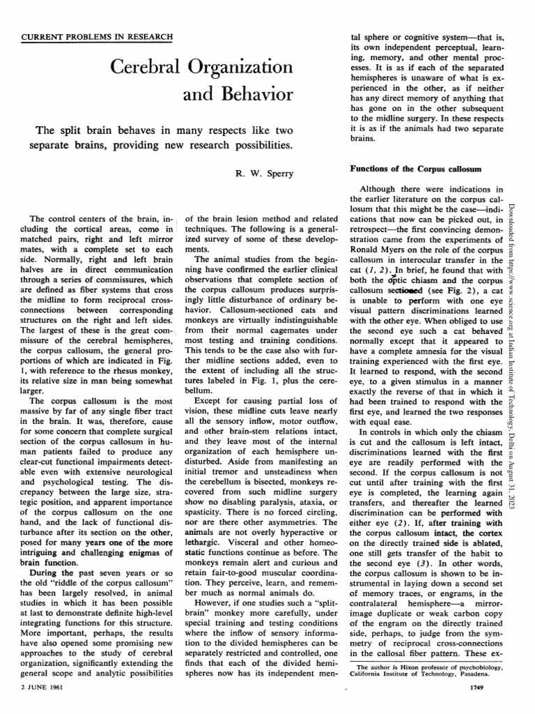 Sperry Cerebral Organization | PDF | Cerebral Cortex | Cognitive Science
