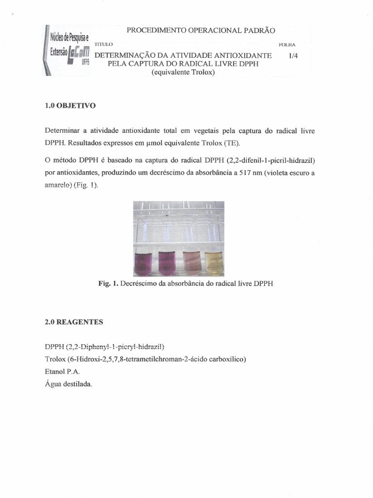 DPPH Metodologia LaCoM UFPB | PDF