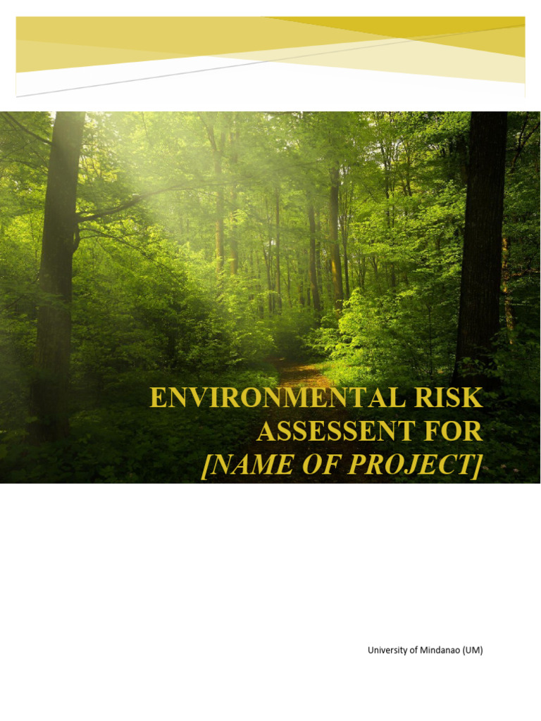ERA Template | PDF | Risk | Risk Assessment
