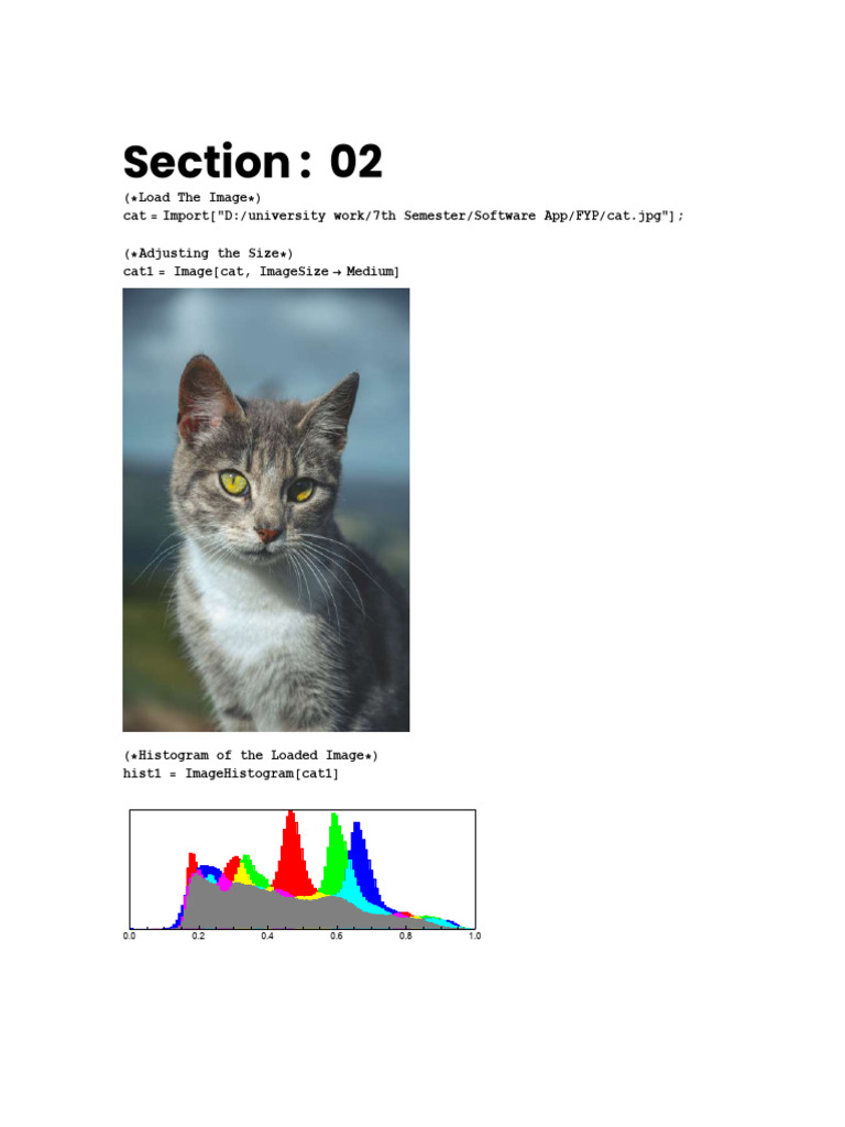 Arsalan (Presentation) | PDF | Computers
