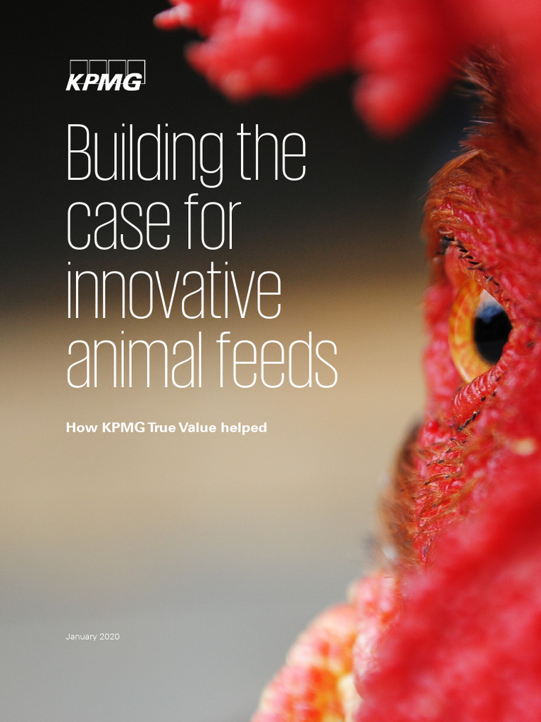 Building The Case For Innovative Animal Feeds | PDF | Agriculture | Meat