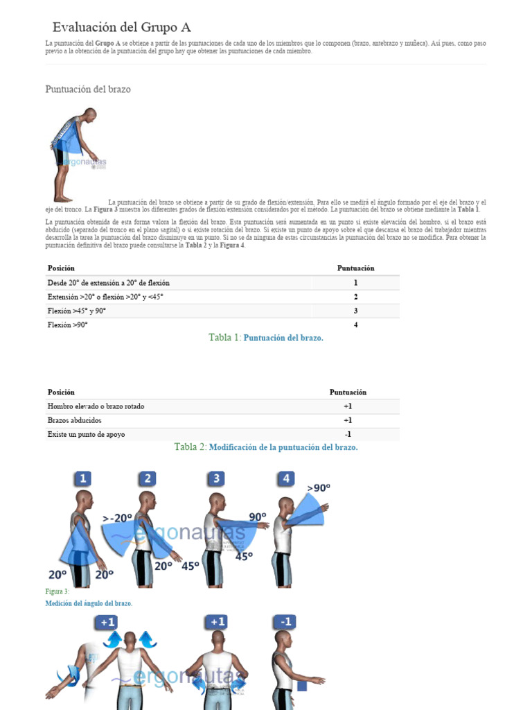 Mètodo Rula | PDF | Medición | Rotación