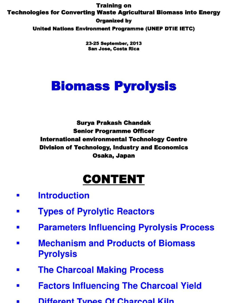 Biomass Pyrolysis | PDF