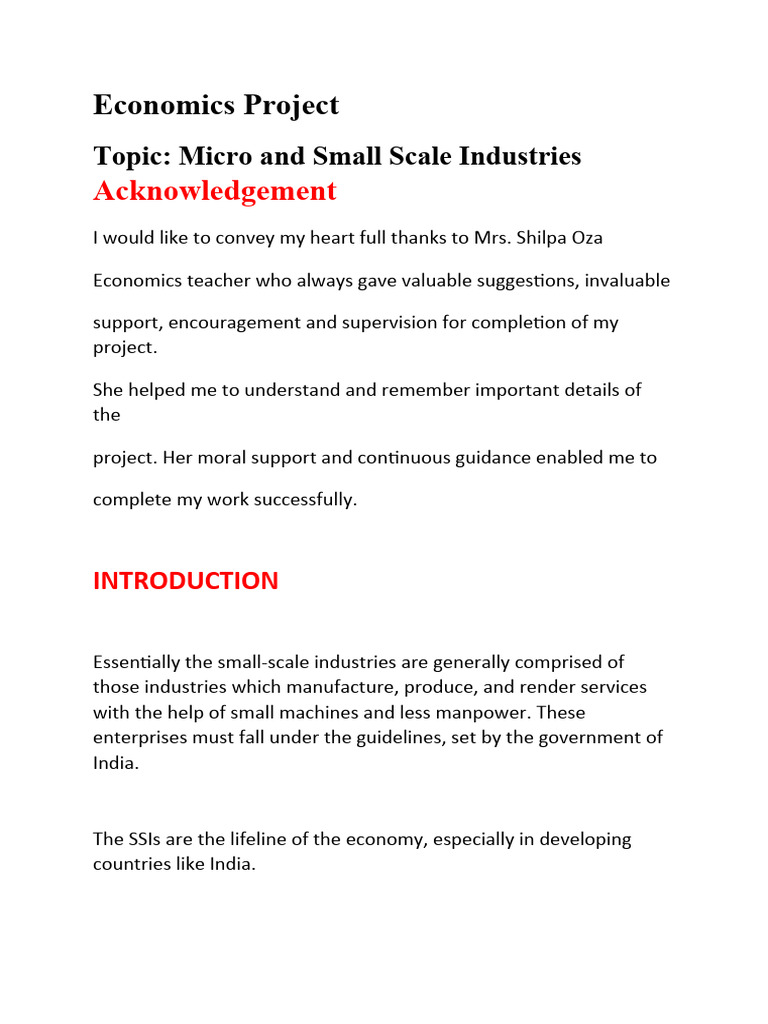Micro and Small Scale Industries Project | PDF | Small And Medium Sized ...