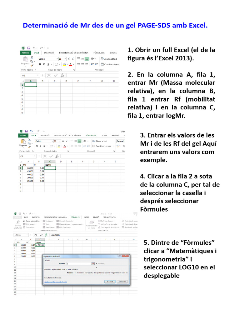 Determinació de MR Des de PAGE-SDS Amb Excel | PDF