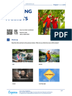 Engoo Lesson Materials | PDF | Linguistics